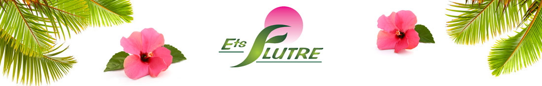 Test - Fleuriste Flutre